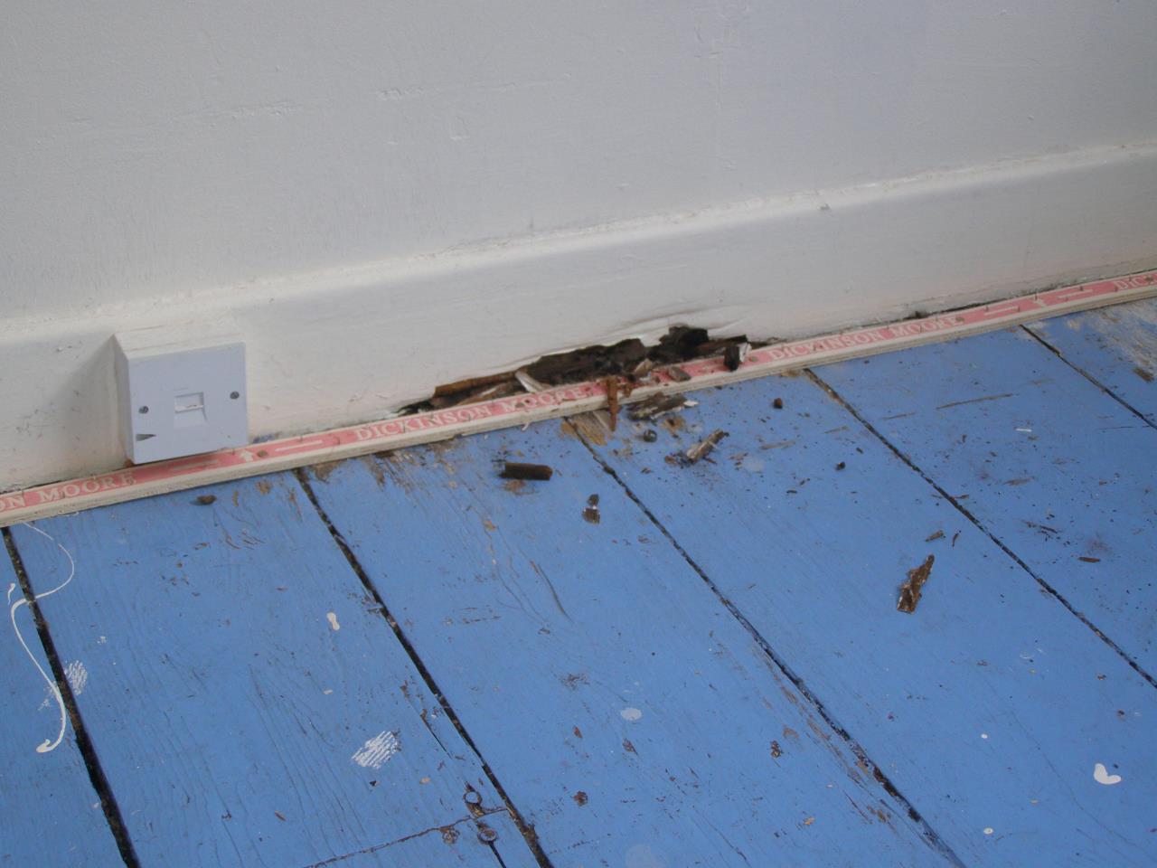 Defects Gallery | NM Home Surveys